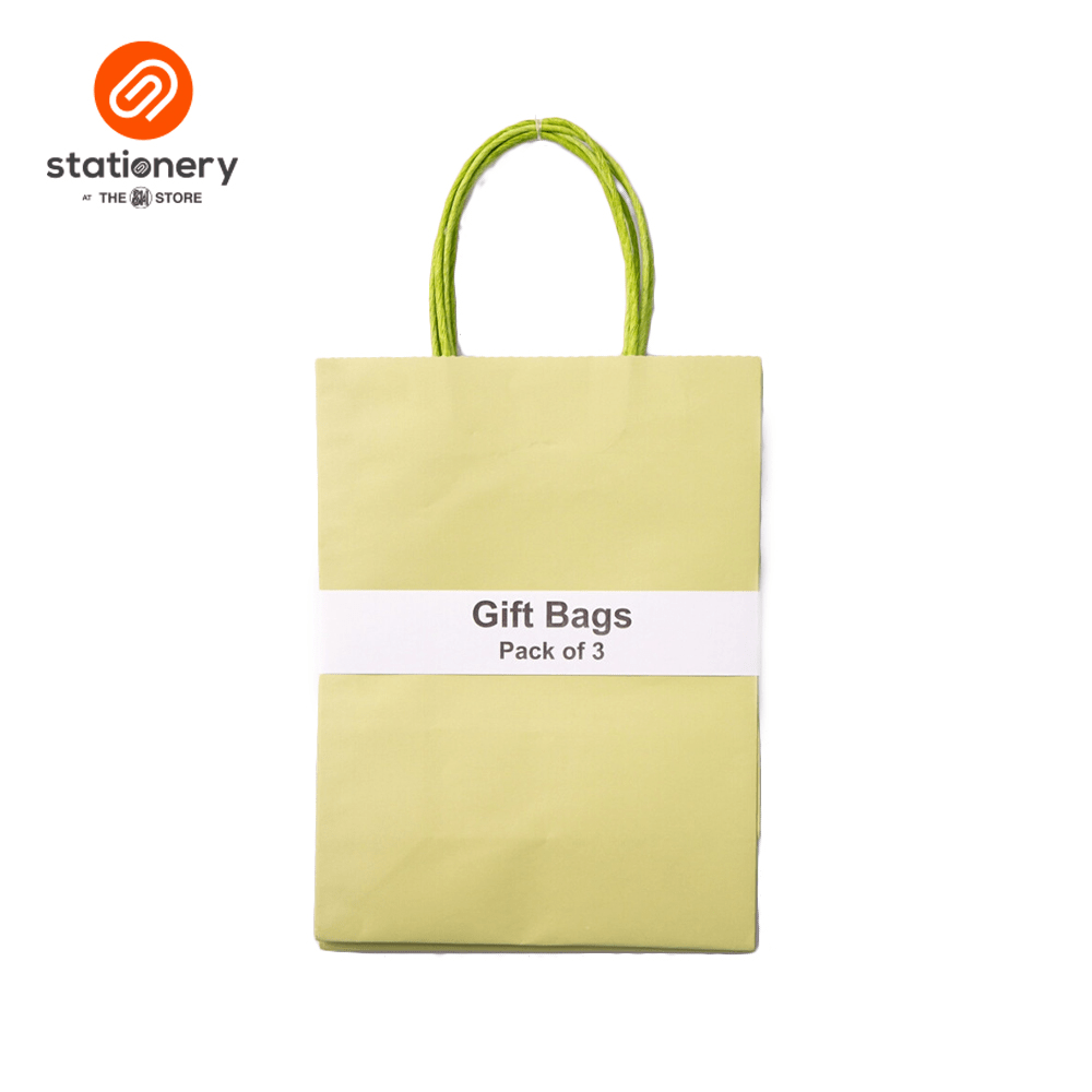 Plain Gift Bag 120 gsm Pack of 3 - Medium (8 1/4x4x11") – SM Stationery